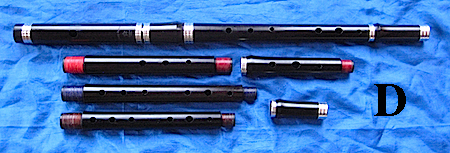 The Irish Flute Combo