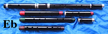 The Irish Flute Combo